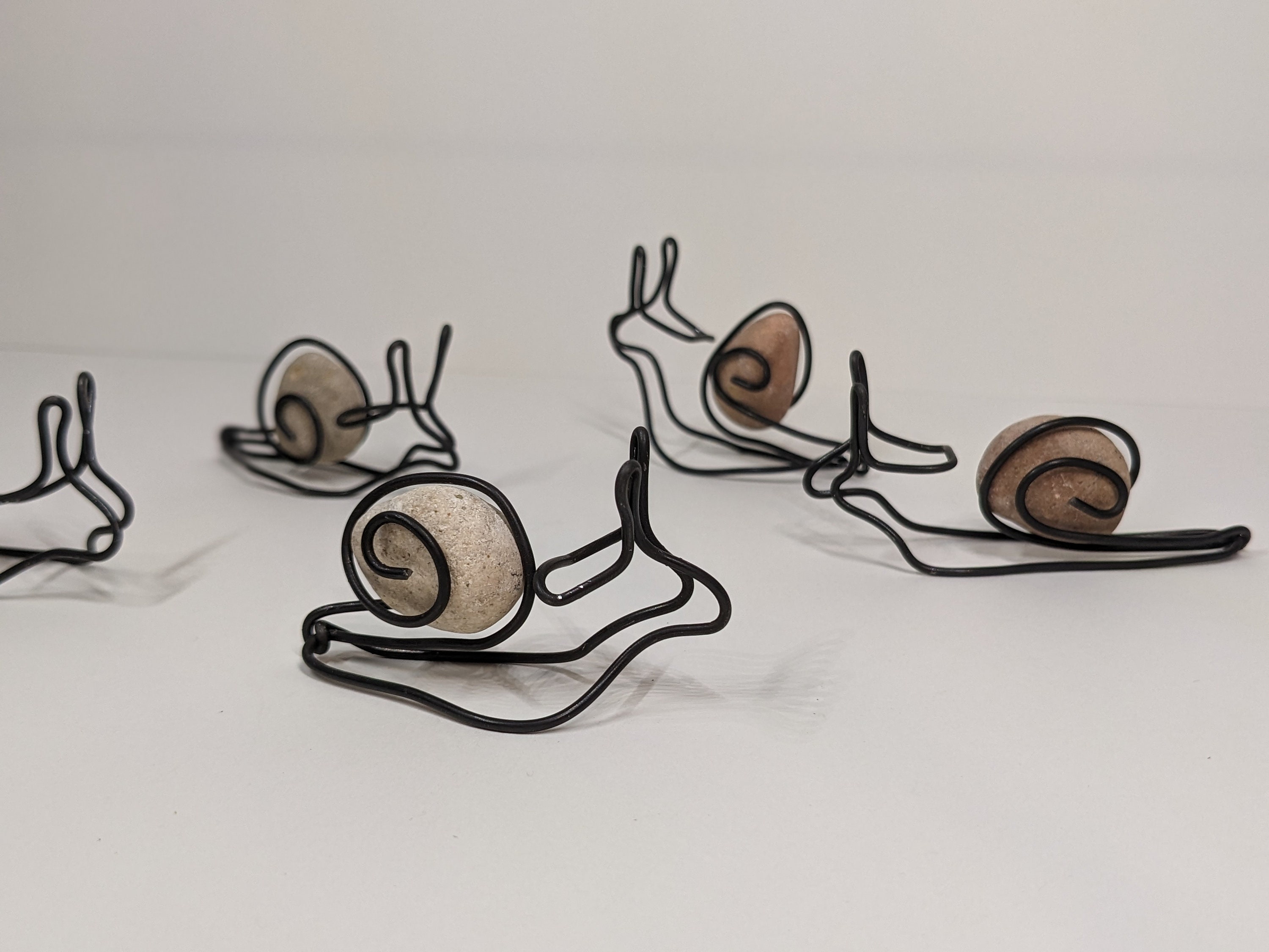 Snail Snail Art Desert Pop