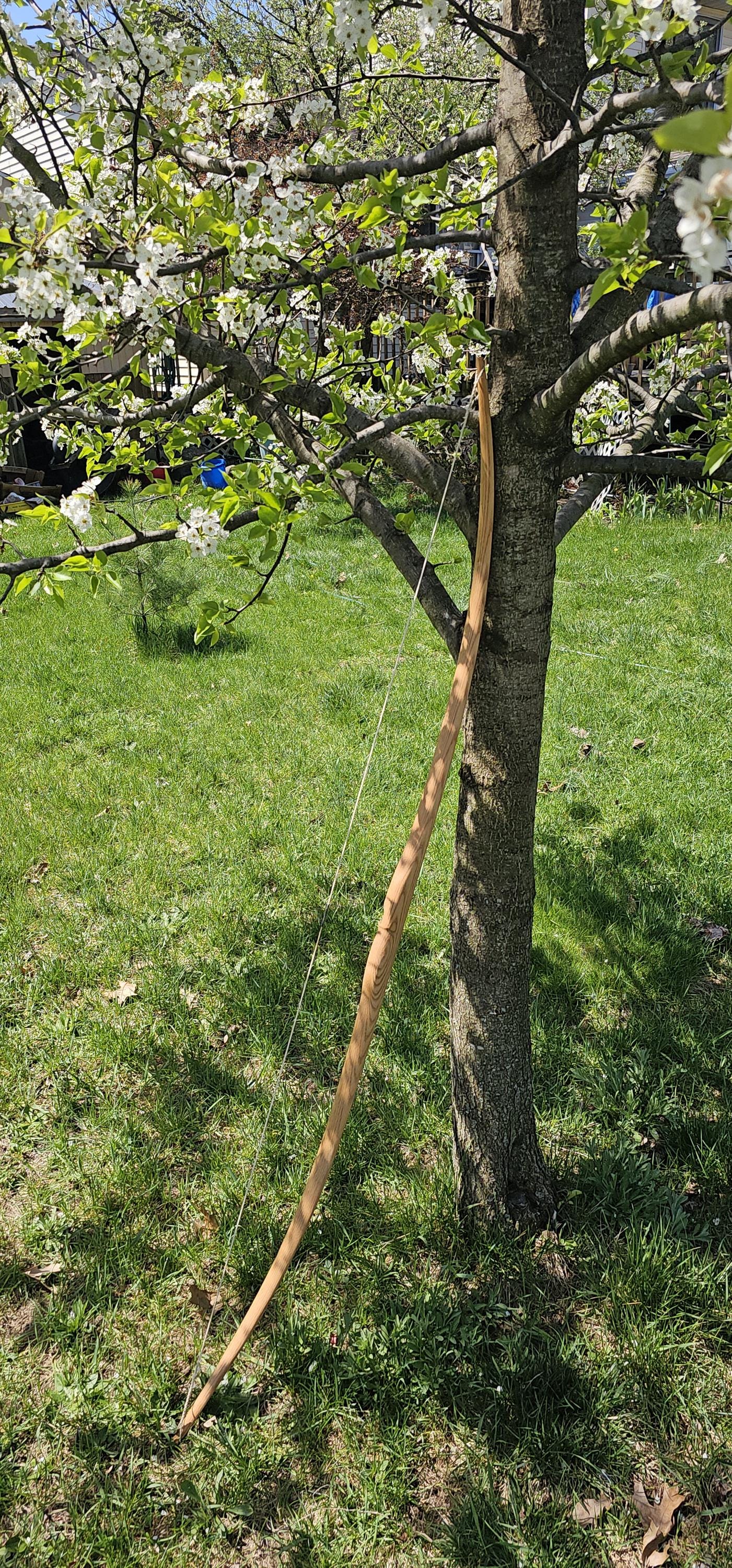 Red Oak Longbow (35lb) - Etsy