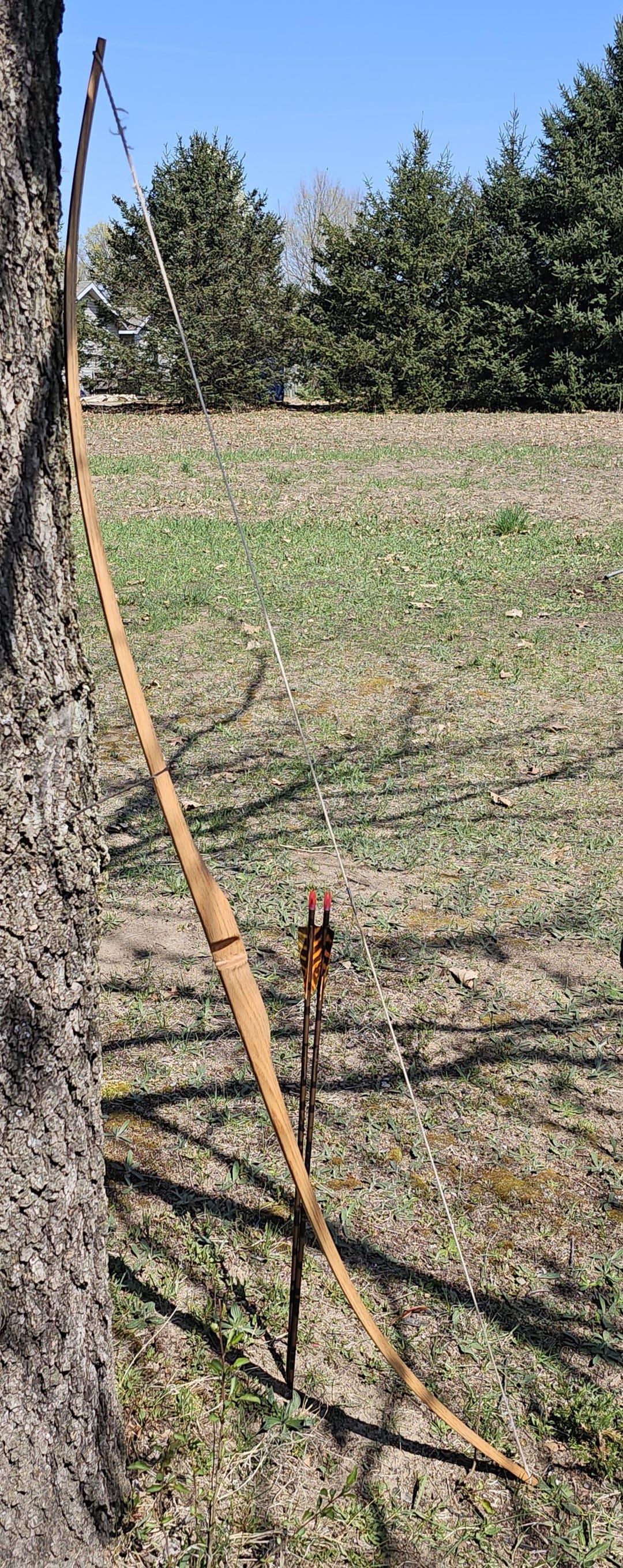 Red Oak Longbow (35lb) - Etsy