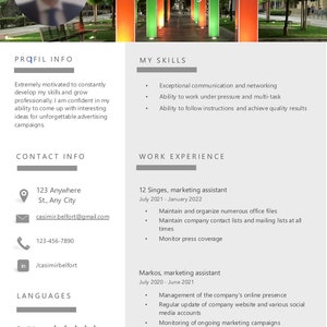 Curriculum Vitae CV for Word, Professional to Banner, Efficient ...