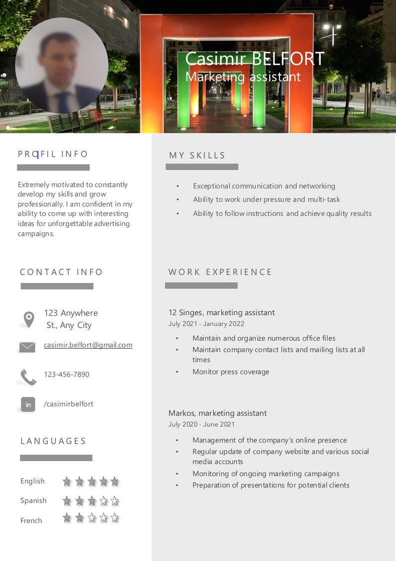 Curriculum Vitae CV for Word, Professional to Banner, Efficient ...