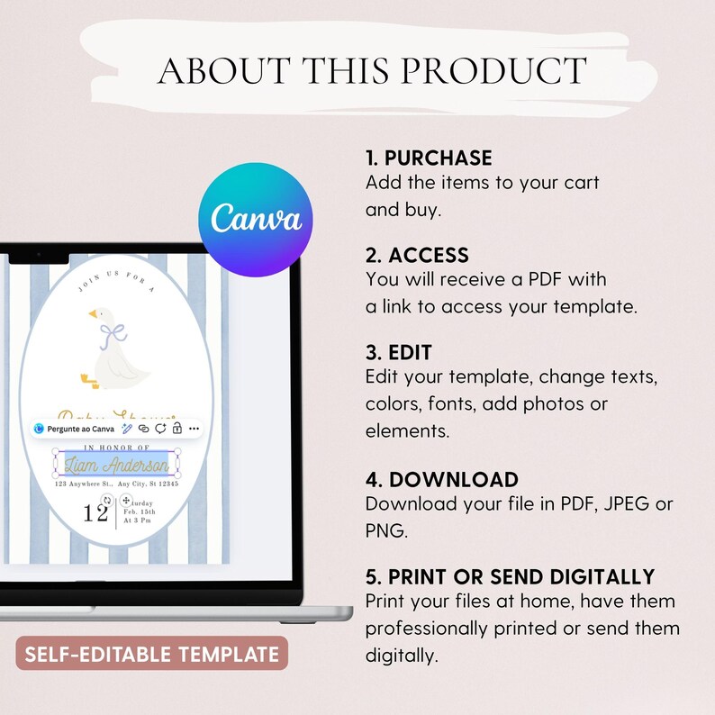 Silly Goose Baby Shower Invitation Vintage – Editable Canva Template - Etsy