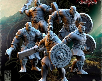 High Elf Spear and Shield the Beholder Miniatures Compatible With D&d ...
