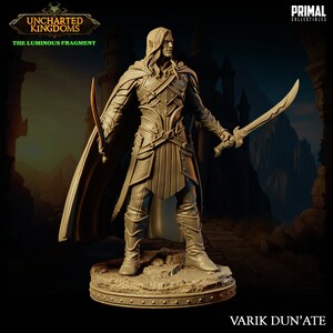 Dark Elf Varik | Primal Collectibles | RPG Boardgames | Fantasy - Etsy