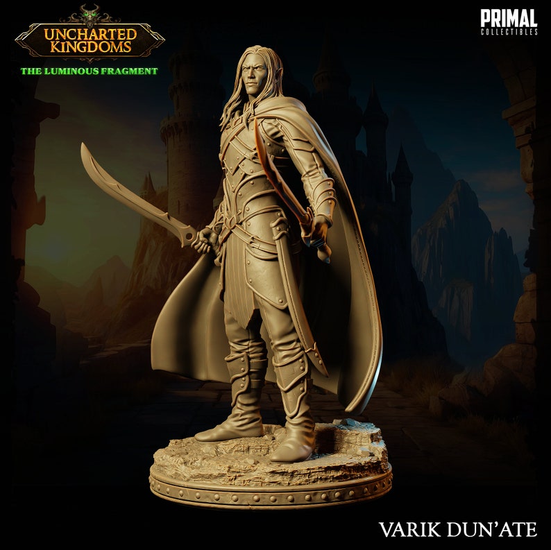 Dark Elf Varik | Primal Collectibles | RPG Boardgames | Fantasy - Etsy