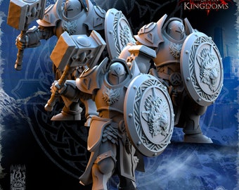 High Elf Sword and Shield the Beholder Miniatures Compatible With D&d ...