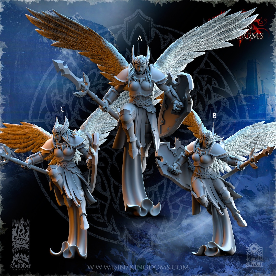 Storm Wolves Valkyrie Eternals | the Beholder Miniatures | RPG ...