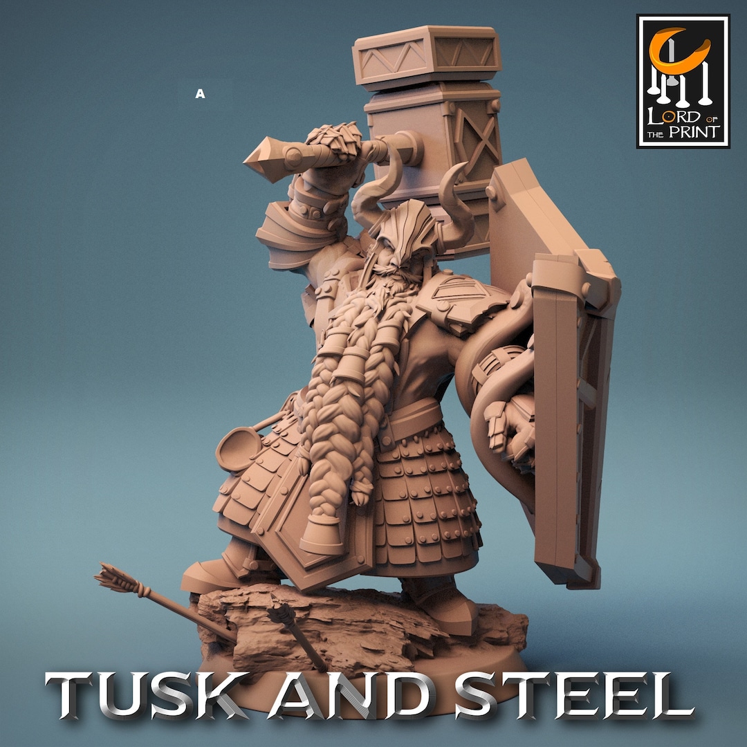 Dwarf Warrior Heavy Armour With Shield | Rescale Miniatures | RPG ...