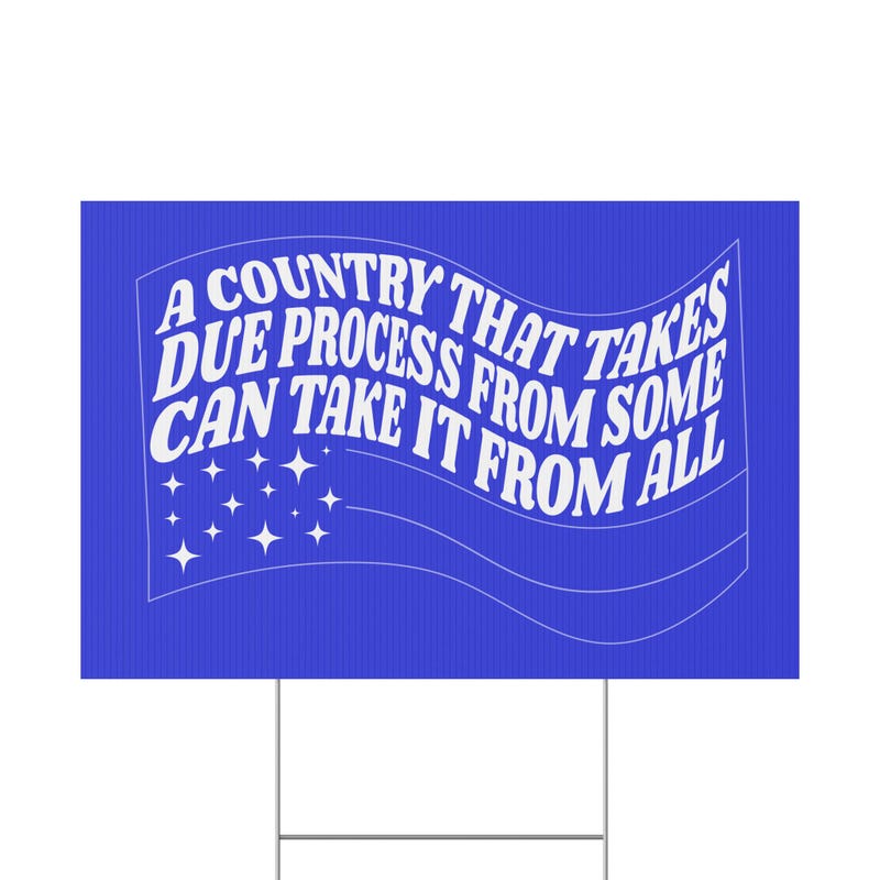 Due Process Protest Sign - Etsy