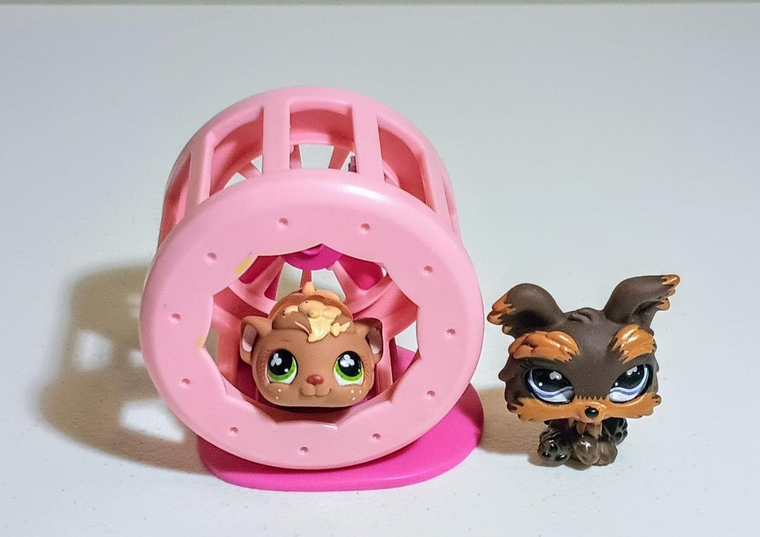 Littlest Pet Shop Yorkie and Guinea Pig Lot - Littlest Pet Shop - LPS ...