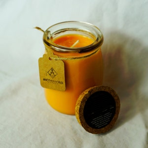 Nami's Tangerine Grove | One Piece Inspired Scented Candle & Wax Melt ...