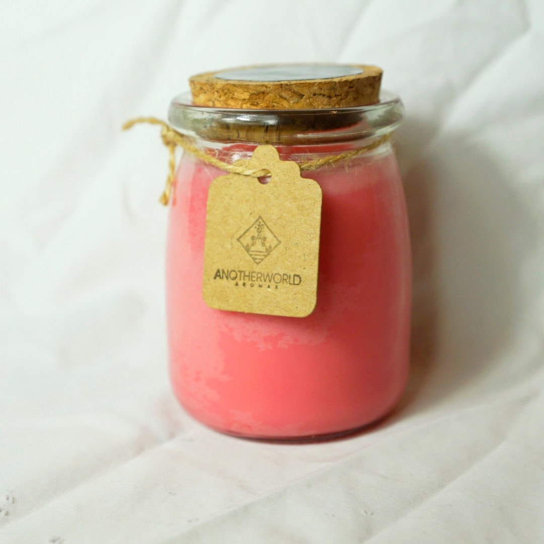 Sea King One Piece Inspired Scented Candle & Wax Melt - Etsy