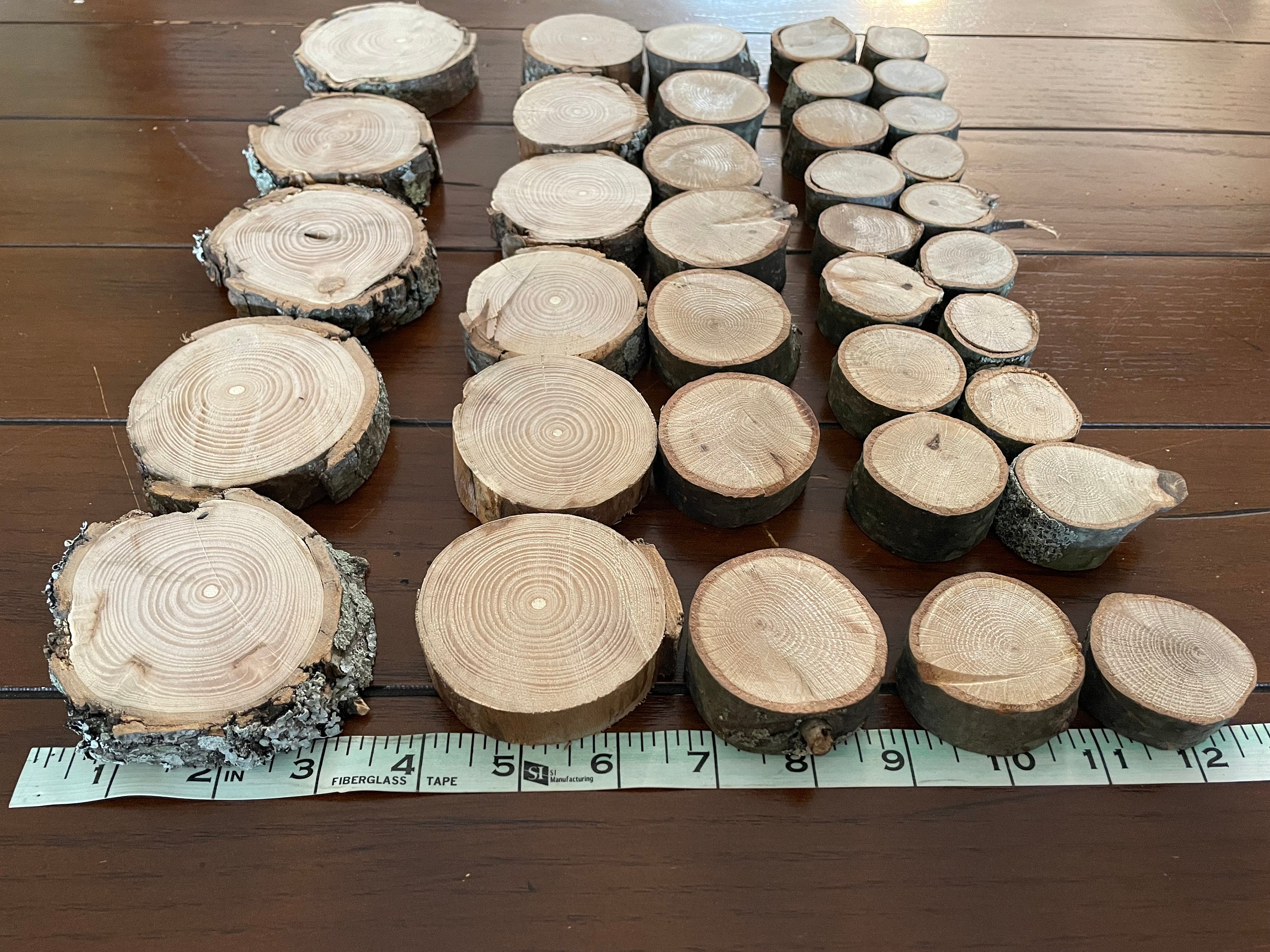 Tree Branch Wood Rounds Various Sizes and Types of Wood Great for Arts ...