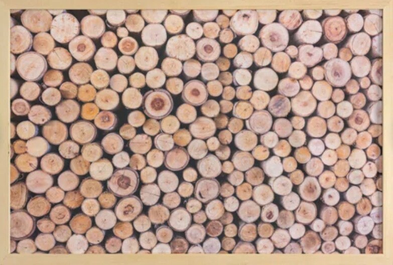 Tree Branch Wood Rounds Various Sizes and Types of Wood Great for Arts ...