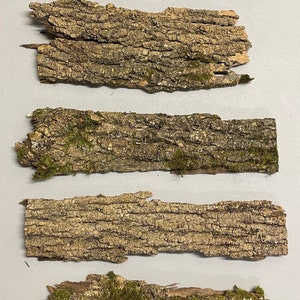 Real Tree Bark Pieces: Rustic Home Decor, Art Projects - Etsy