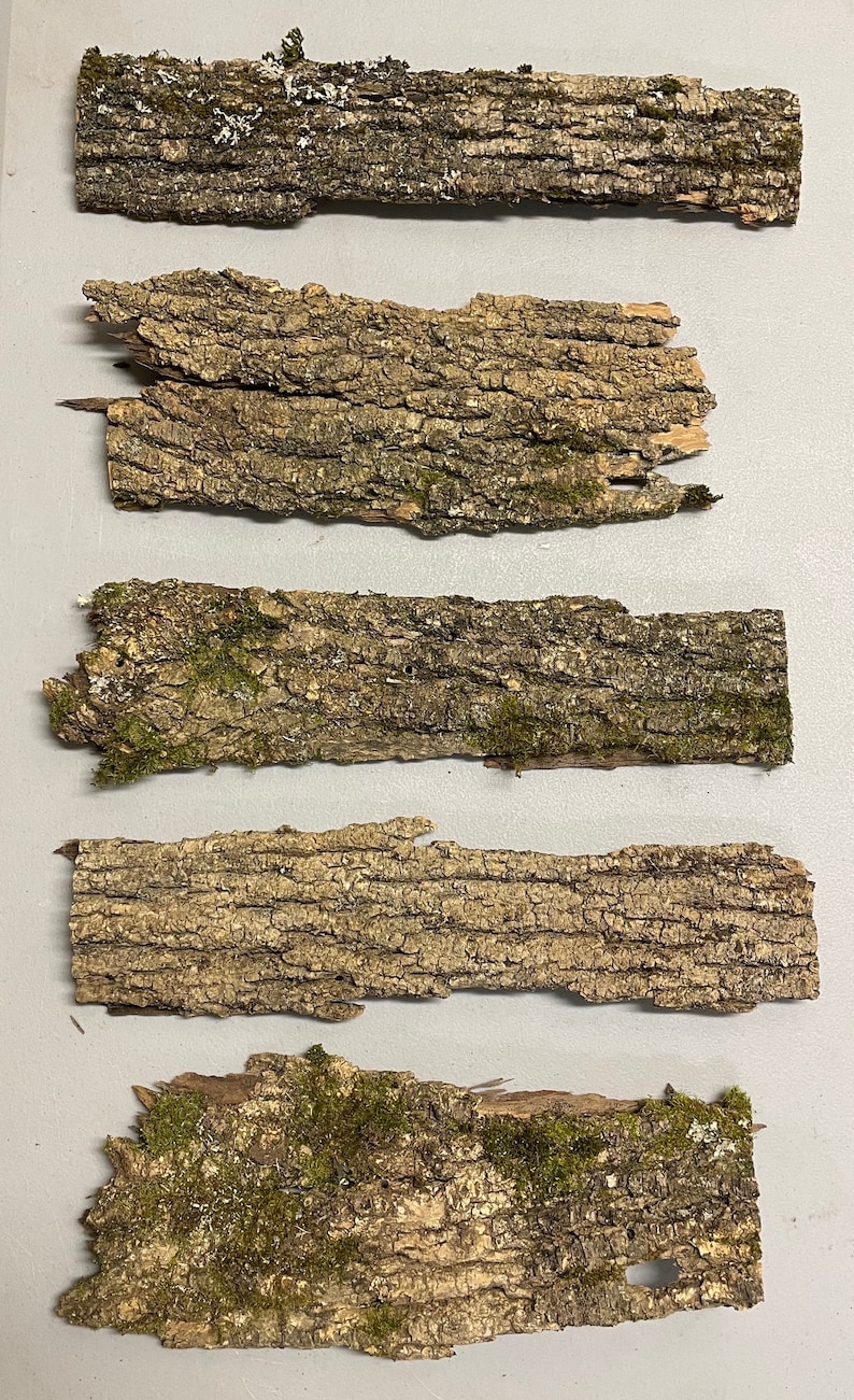 Real Tree Bark Pieces: Rustic Home Decor, Art Projects - Etsy