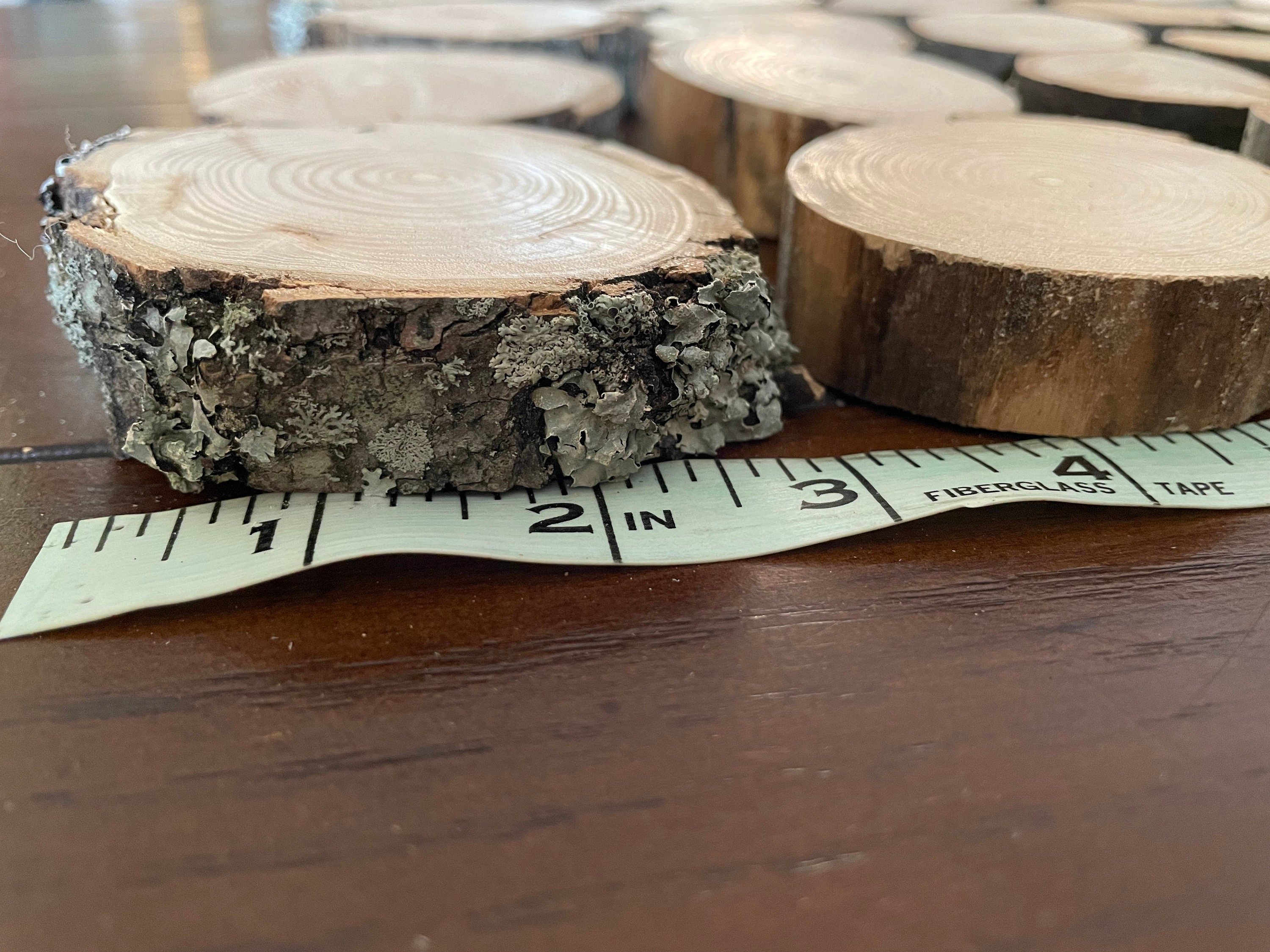 Tree Branch Wood Rounds Various Sizes and Types of Wood Great for Arts ...