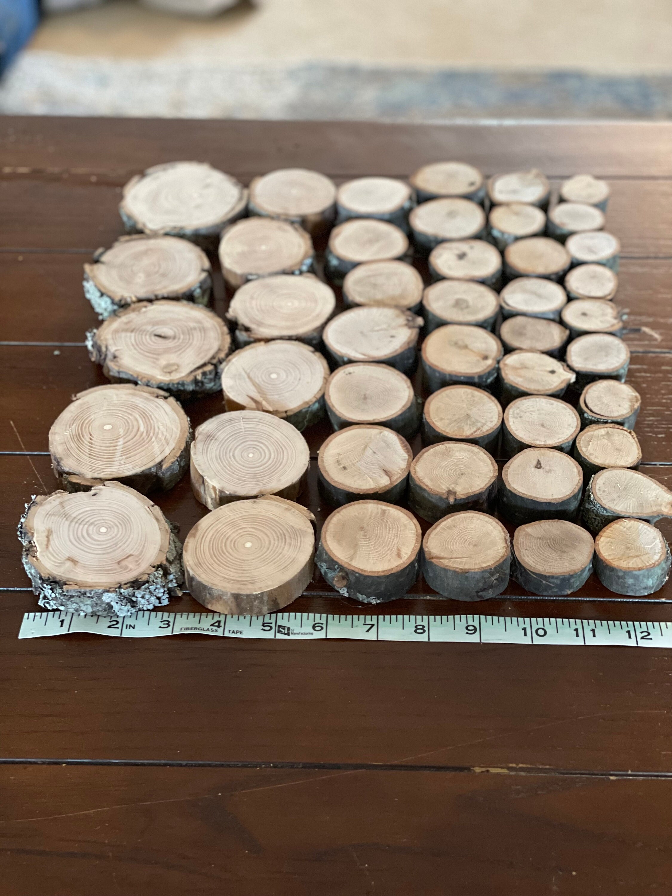Tree Branch Wood Rounds Various Sizes and Types of Wood Great for Arts ...