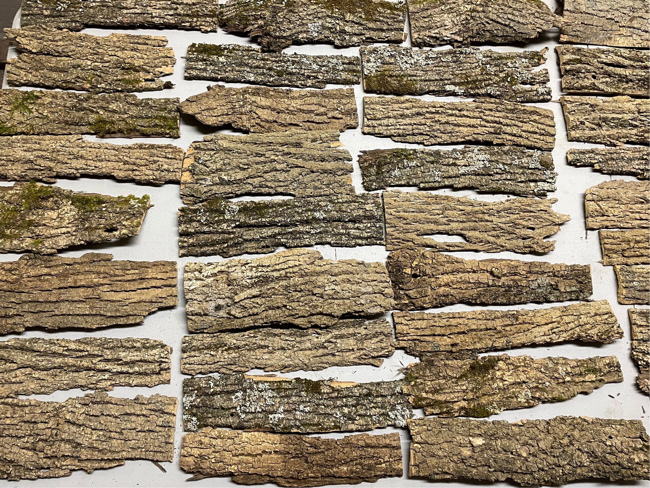 Real Tree Bark Pieces: Rustic Home Decor, Art Projects - Etsy