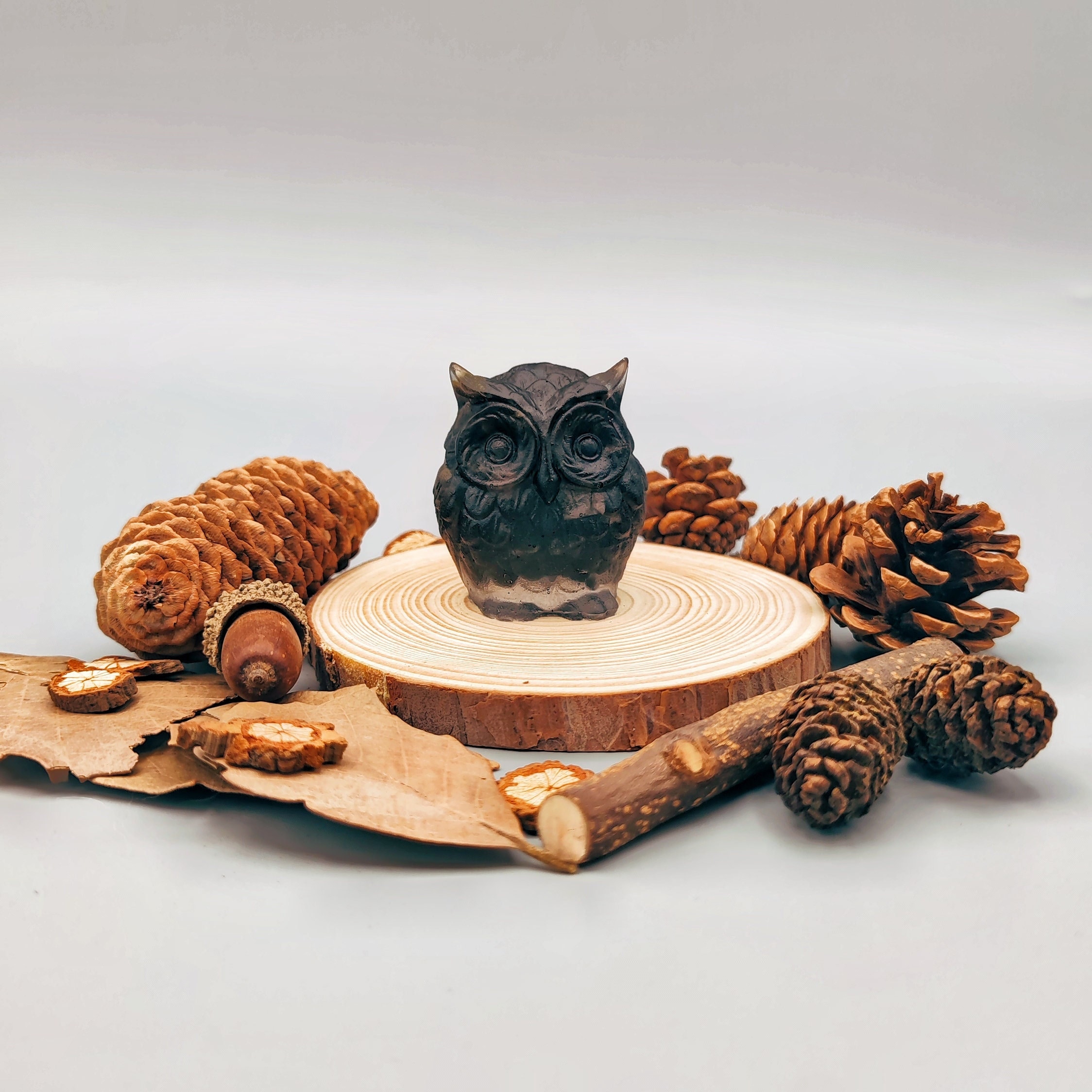 OBSIDIAN RESIN OWL Natural Crystal Gemstone Chips Owl Figure - Etsy