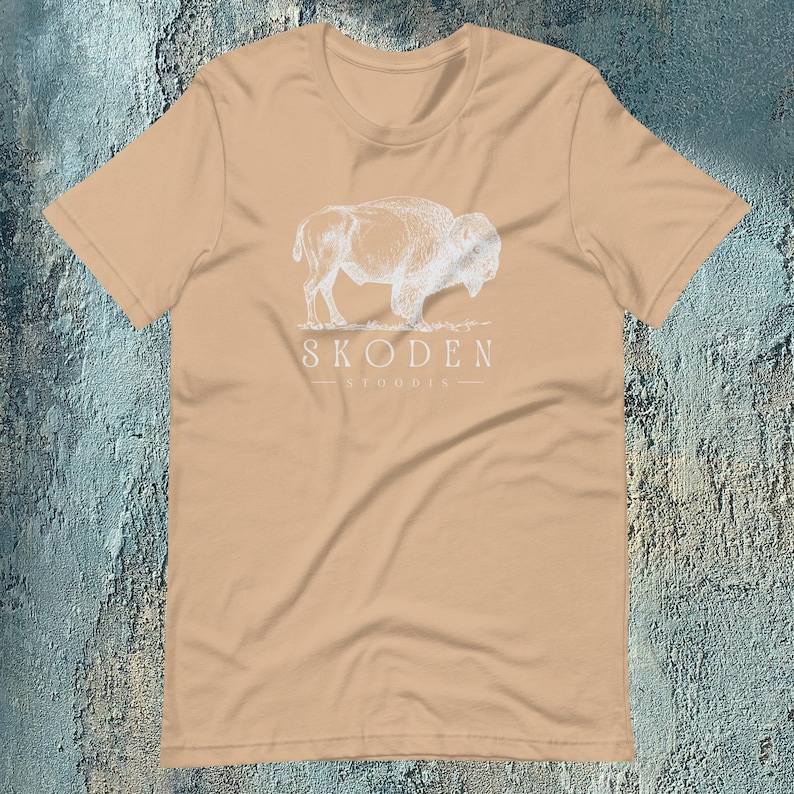 Skoden Stoodis Tshirt Native American Slang Gift Rezdog Indigenous ...