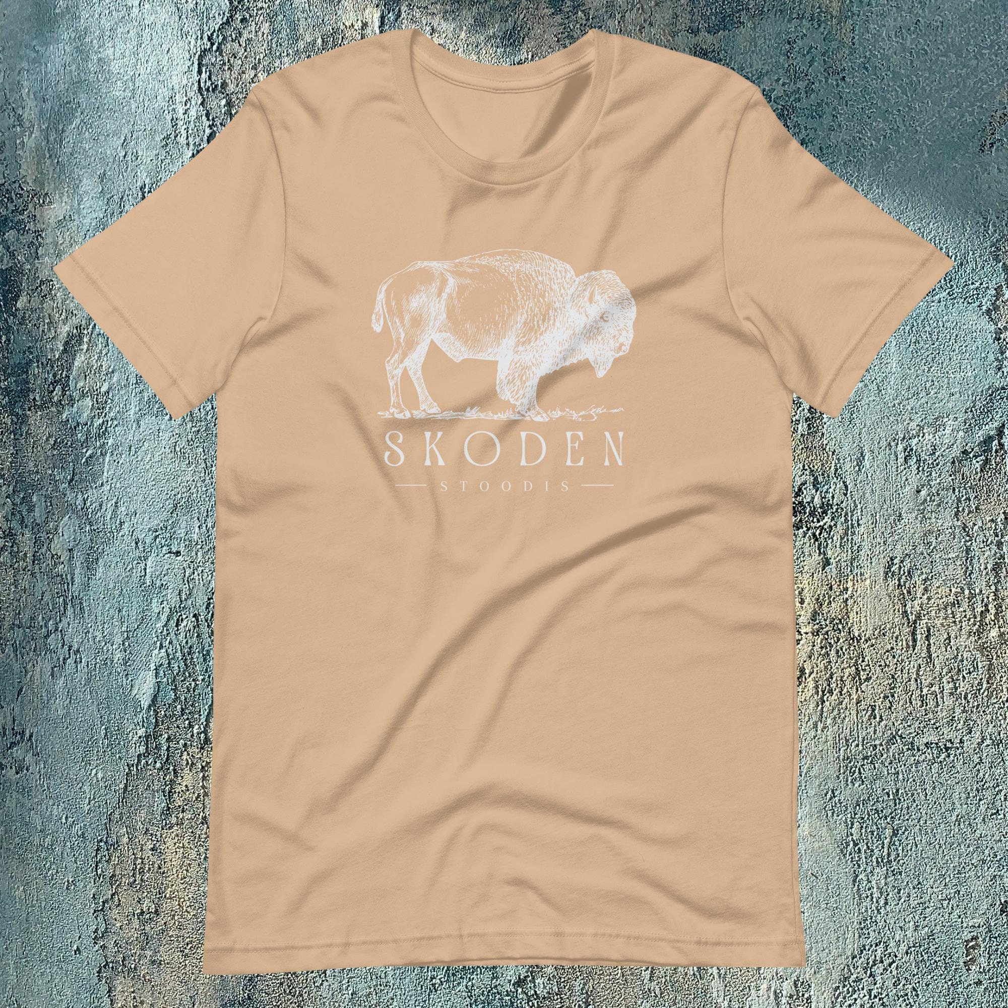 Skoden Stoodis Tshirt Native American Slang Gift Rezdog Indigenous ...