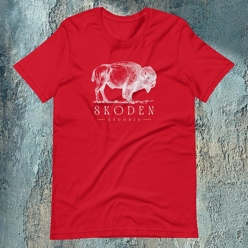 Skoden Stoodis Tshirt Native American Slang Gift Rezdog Indigenous ...