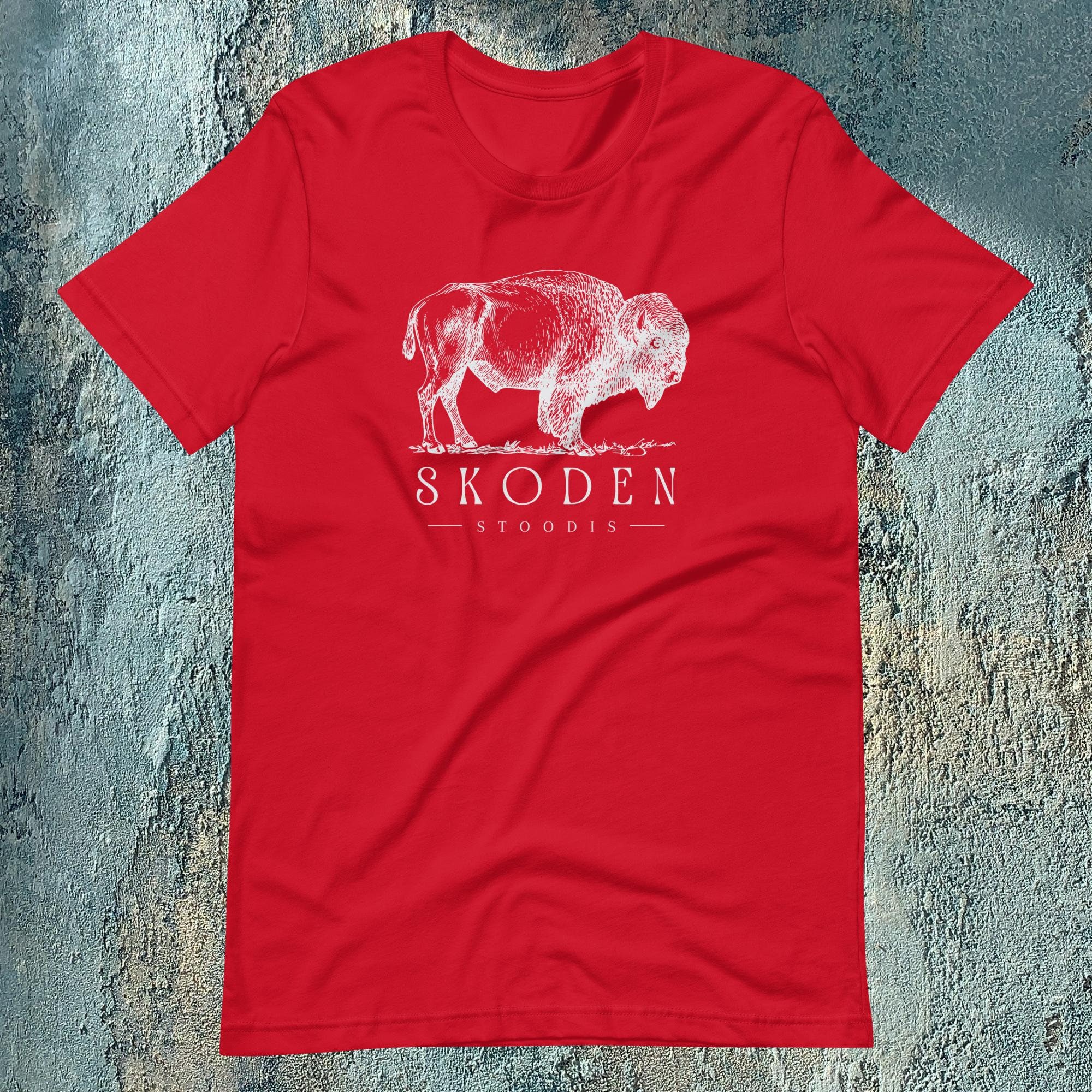 Skoden Stoodis Tshirt Native American Slang Gift Rezdog Indigenous ...