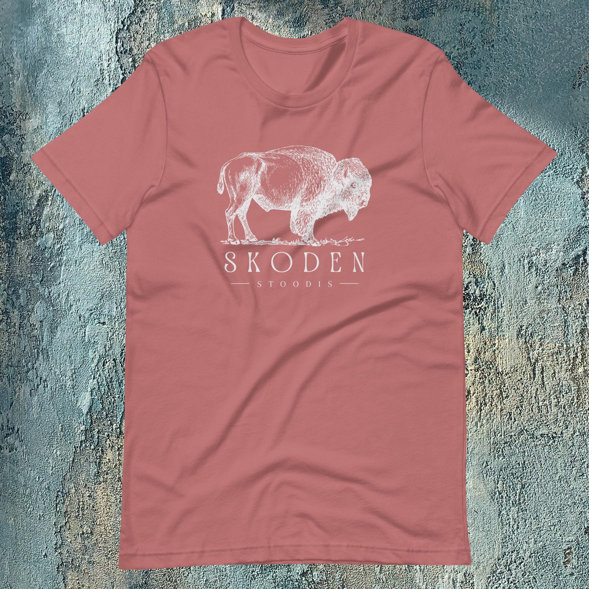 Skoden Stoodis Tshirt Native American Slang Gift Rezdog Indigenous ...