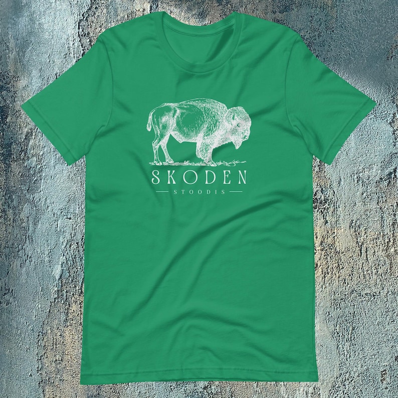 Skoden Stoodis Tshirt Native American Slang Gift Rezdog Indigenous ...