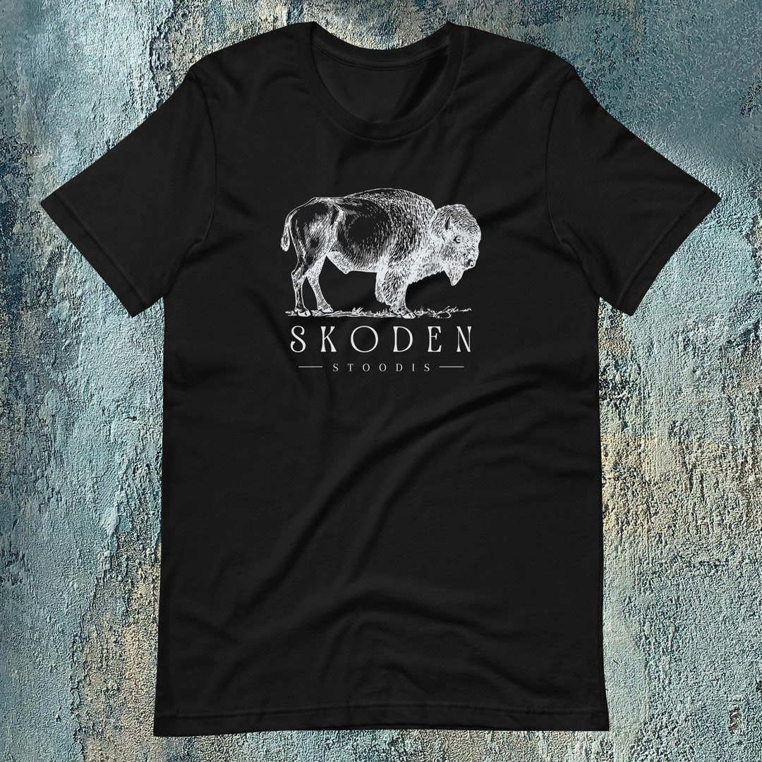 Skoden Stoodis Tshirt Native American Slang Gift Rezdog Indigenous ...