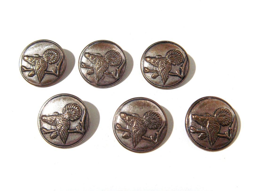 Antique Livery Hunt Buttons Set X6 Grouse Bird on Branch Silver Plated ...