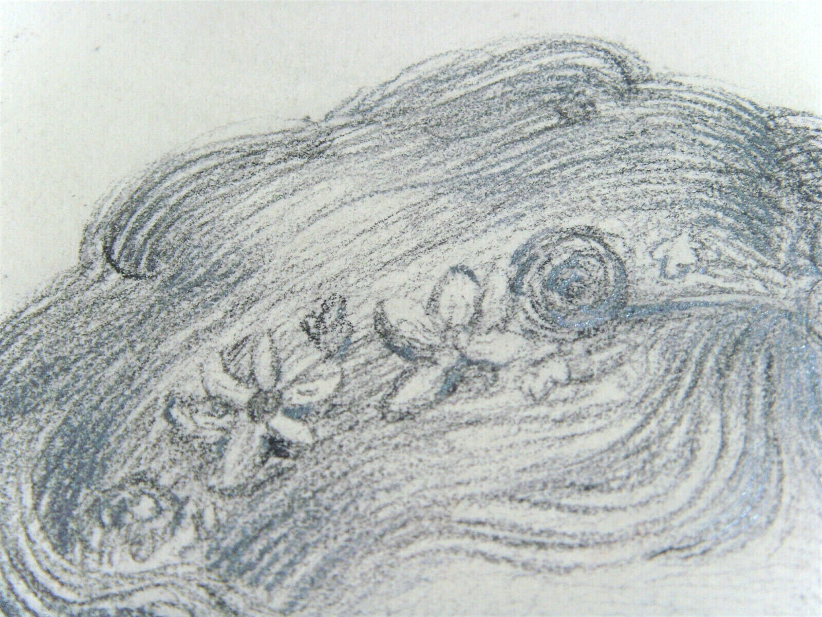 Antique Victorian C1890s Risque Erotic Pencil Drawing of a - Etsy UK