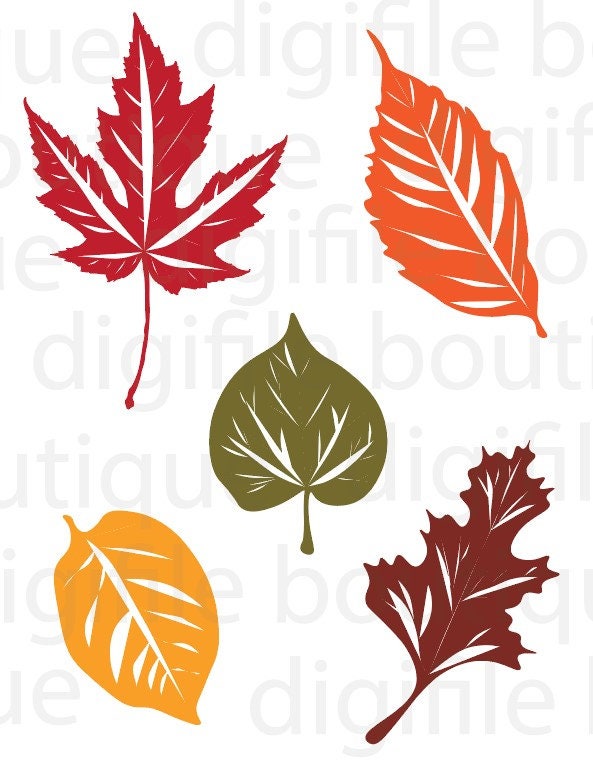 Hoja SVG, Hoja PNG, Vector de hoja, Hoja JPEG, Camisa de hoja, Hojas ...