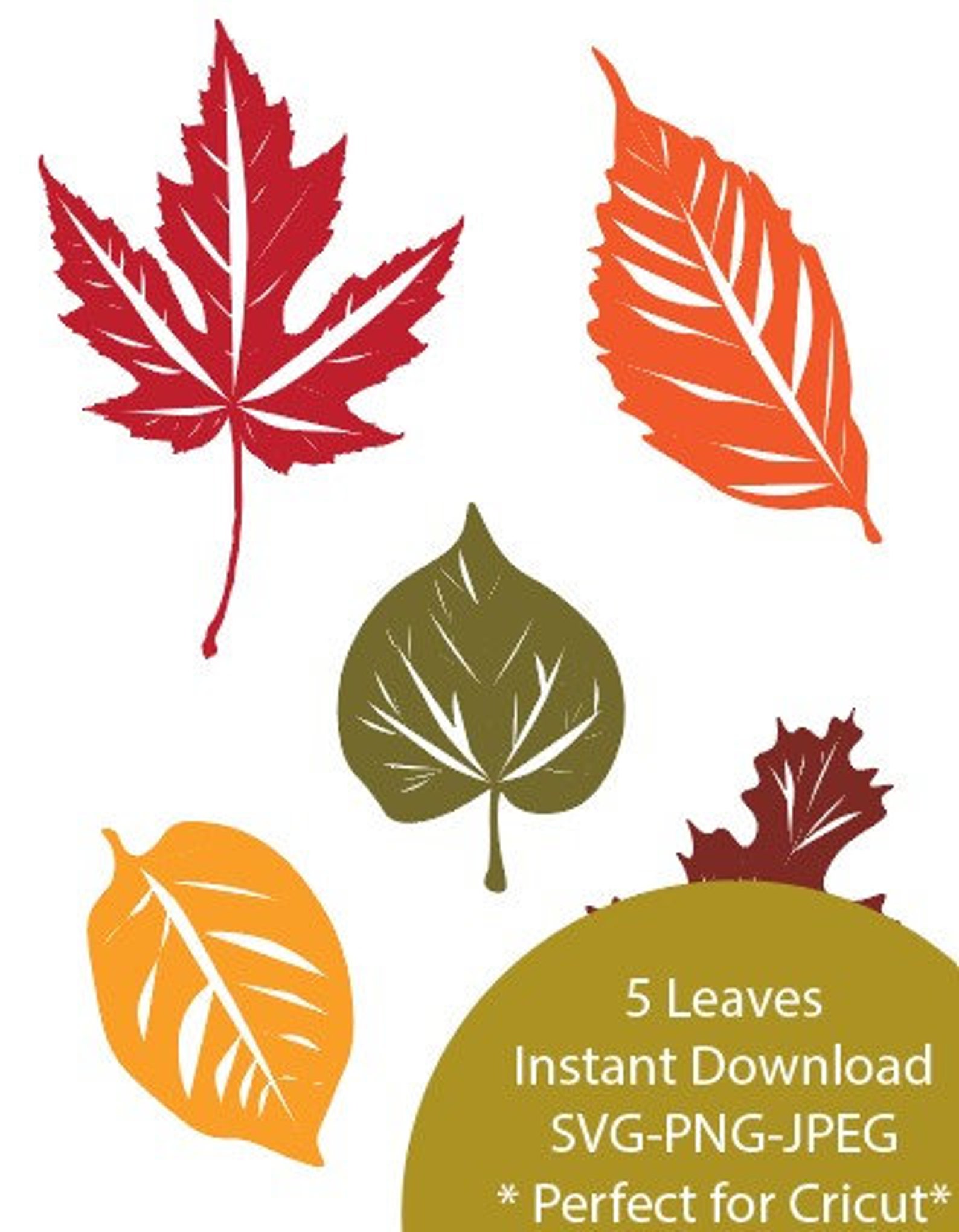 Leaf SVG Leaf PNG Leaf Vector Leaf JPEG Leaf Shirt Leaves - Etsy