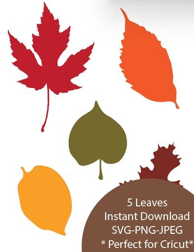 Feuille SVG, Feuille PNG, Leaf Vector, Leaf JPEG, Leaf shirt, Feuilles ...