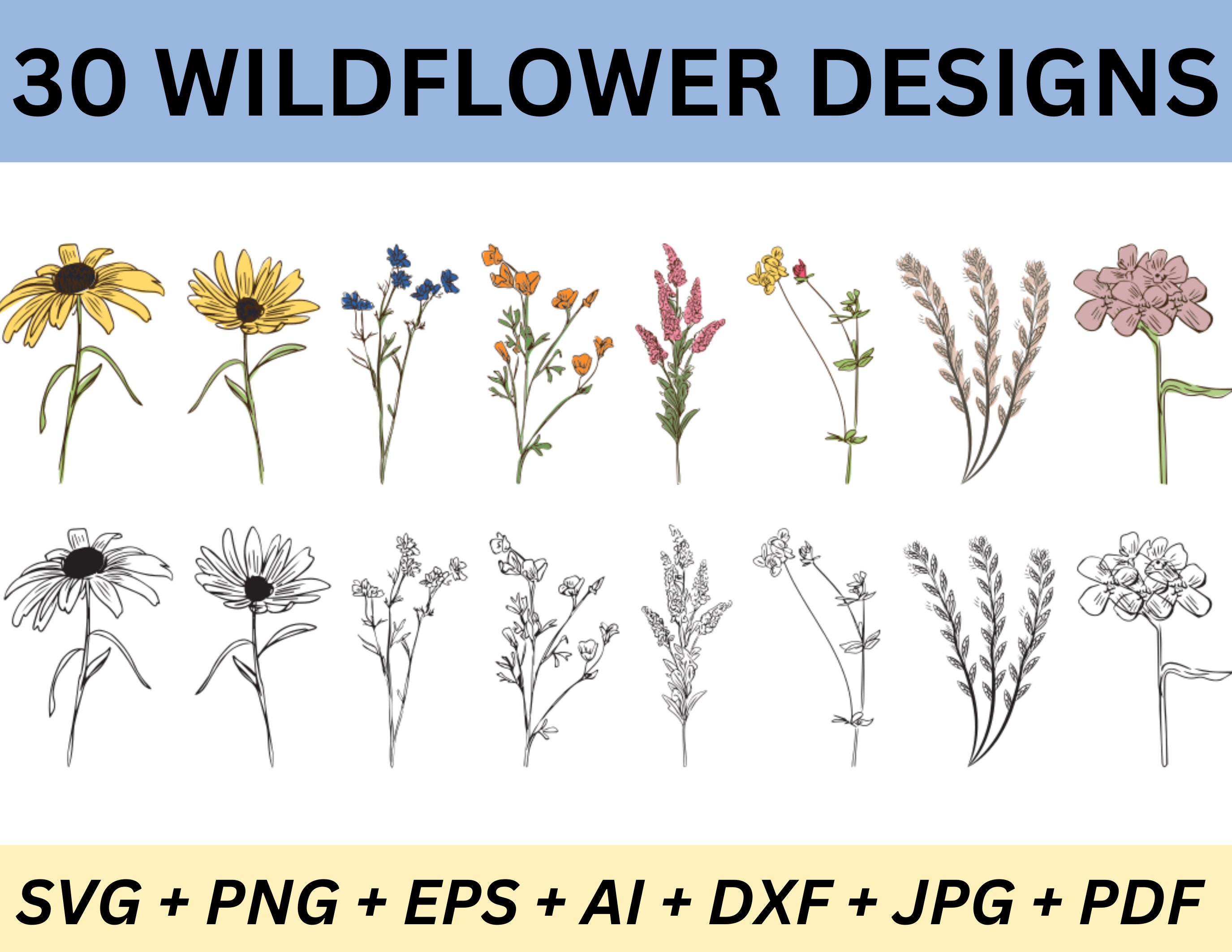 Flower Svg, Sunflower Svg, Wildflower Svg, Wild Flower Svg, Wildflowers ...