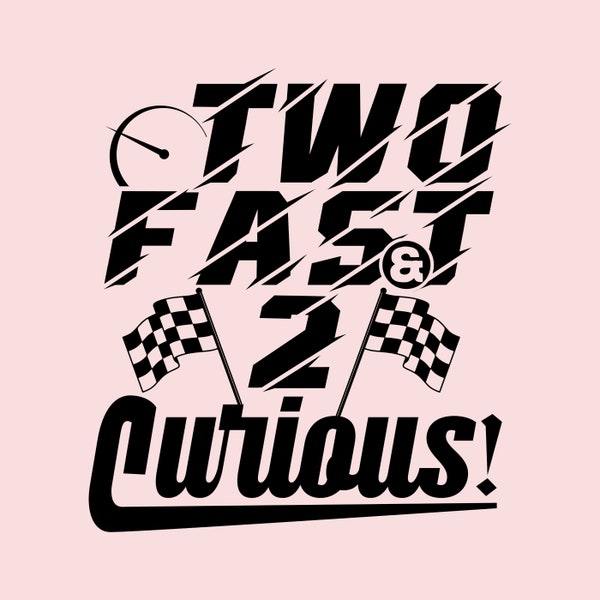 Two Fast Birthday - Etsy