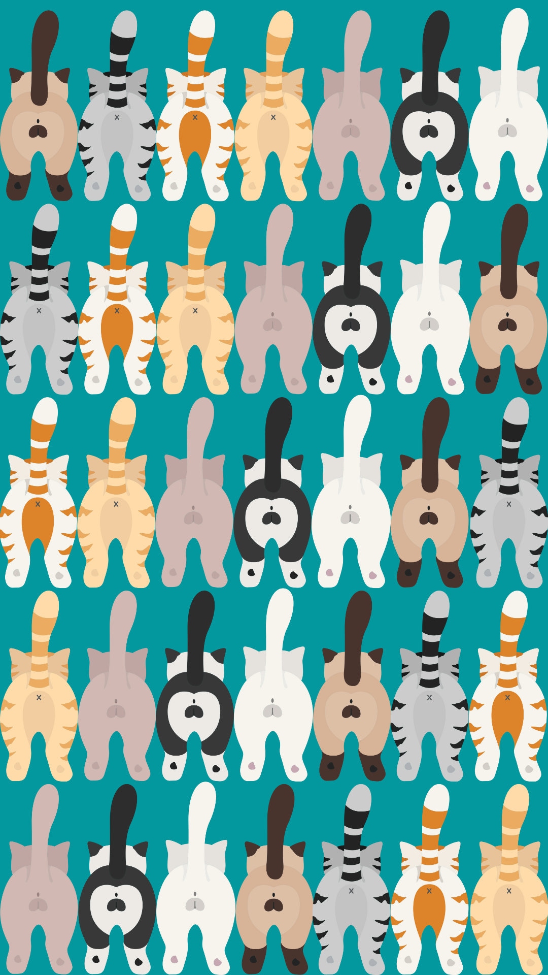 Cute Cat Butt Phone Wallpaper Teal Etsy