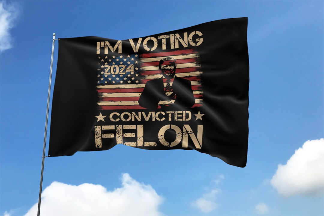Vote for the Convicted Felon Flag, Pro USA Election Flag, Funny ...