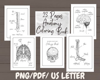 Human Anatomy Coloring Book Printable or Digital 24 Pages - Etsy