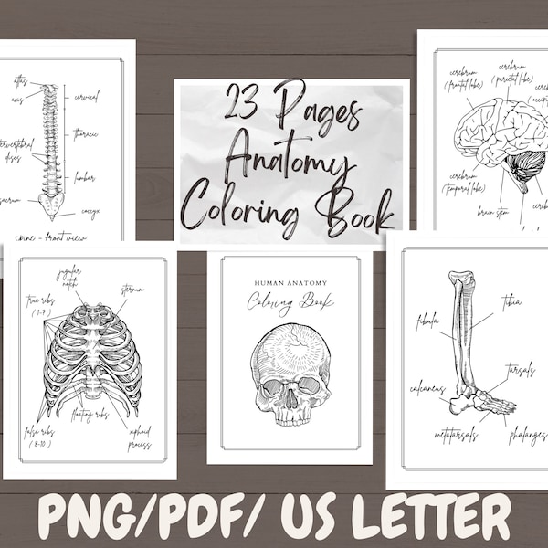 Human Anatomy Printable - Etsy