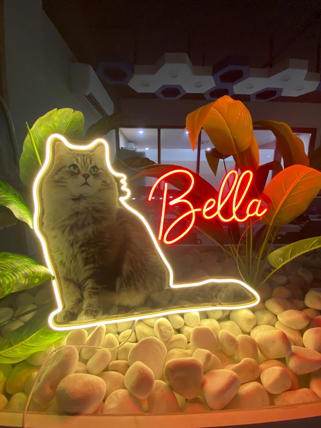 Custom Pet Neon Sign, Pet Name Neon Sign, Your Dog Sign, Pet Shop Decor ...