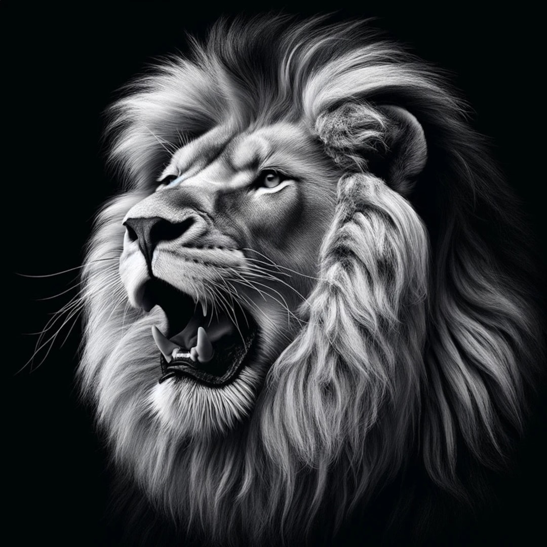 5 High Definition Lion Photos Black and White - Etsy