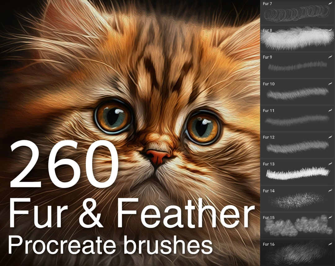 260 Fur & Feather Brushes, Procreate Brush Bundle, iPad Brushes, Fur ...