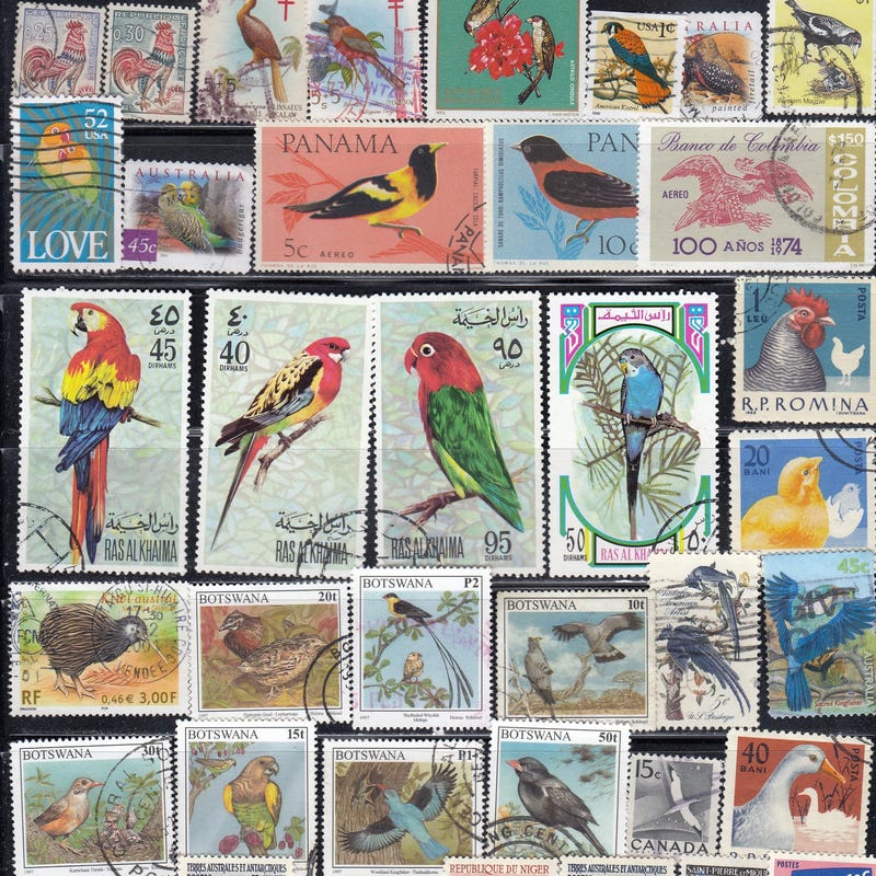 Vintage Bird Stamps - Etsy