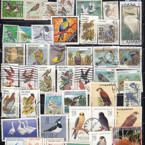 Vintage Bird Stamps - Etsy