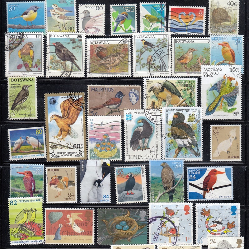 Vintage Bird Stamps - Etsy