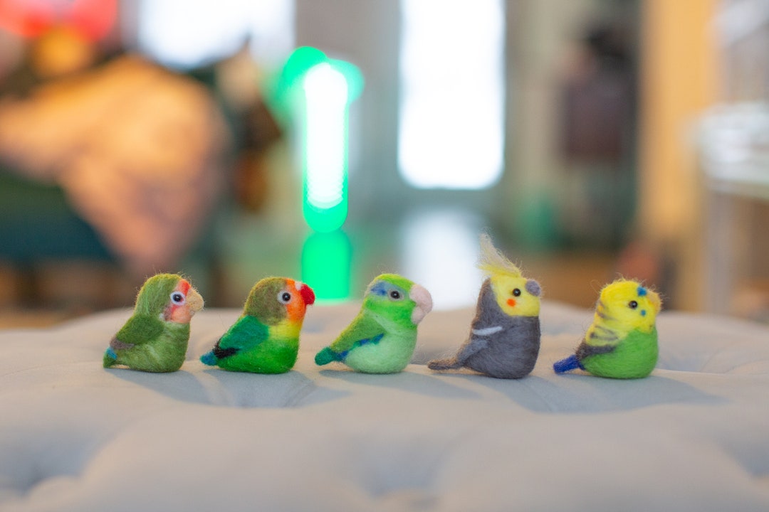 Custom Mini Needle Felt Birds - Miniature Lovebird, Budgie, Parrot ...