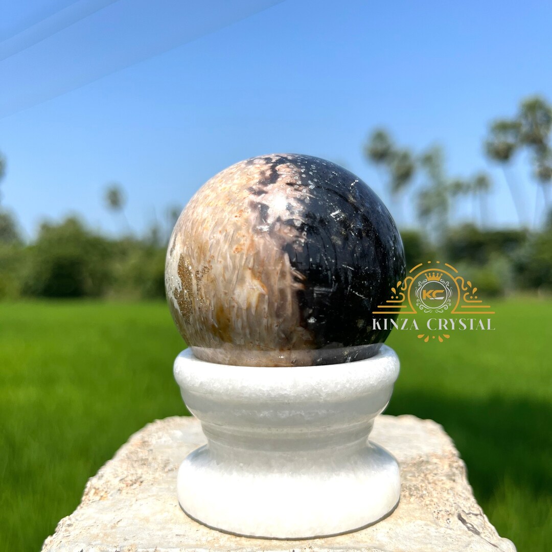 Gorgeous PALM ROOT Sphere Palm Root Fossil Sphere Gemstone - Etsy
